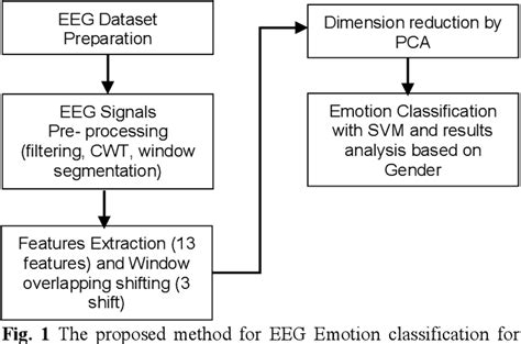 Figure 1 From Gender Difference In Eeg Emotion Recognition With Overlapping Shifting Window