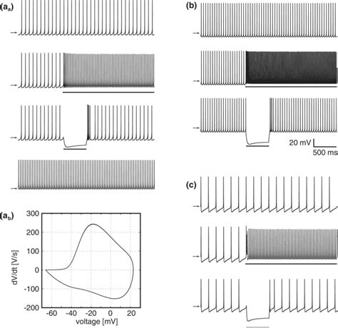 Behavior Of Model Neurons Aa Spiking Activity Of A Model Stn Neuron