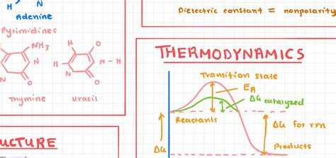 Biochemistry Basics Metabolism Review Packet Etsy