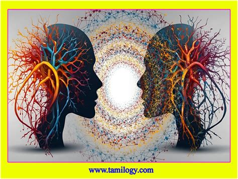 Machine Learning Algorithms In Tamil இயந்திரக் கற்றல் அல்காரிதங்கள் Tamilogy