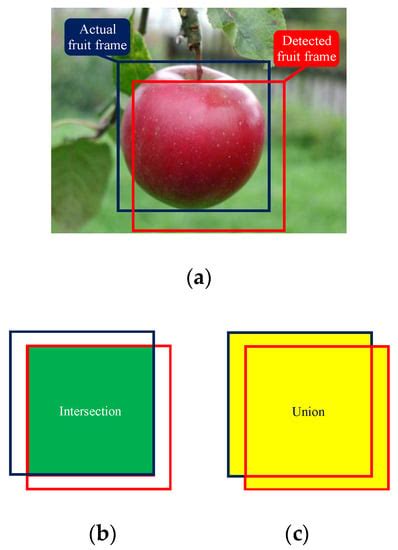 Using Yolov3 Algorithm With Pre And Post Processing For Apple