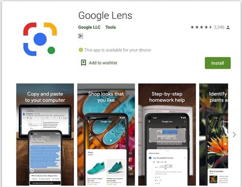 Best Tree Identification Apps For Android IOS