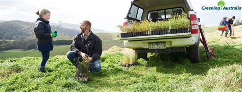 Rowing Early Mornings Starts At Penrith Facebook
