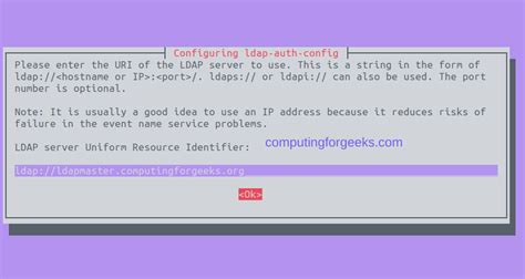 How To Run Openldap In Bitnami Docker Container Computingforgeeks