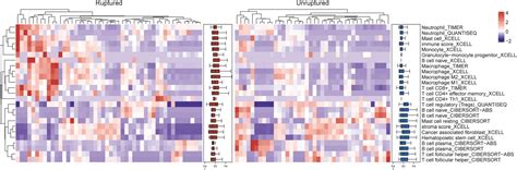 Frontiers A Two Stage Hybrid Gene Selection Algorithm Combined With Machine Learning Models To