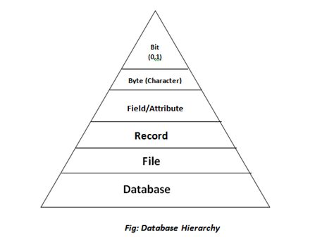 Unit 4 Data Base Management System Part 1 Education Hub Gyanchautari