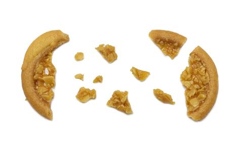 비스킷 크래커 부스러기로 수제 원형과 얇은 쉴드 디자인 아몬드 타르트와 그래서 달콤한 맛 쿠키 흰색 배경에 격리 0명에 대한 스톡 사진 및 기타 이미지 Istock