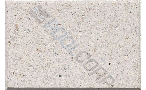 Pool360 8 X 12 Shellock® Paver Ivory