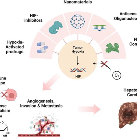 Schematic Overview Of Review Article The Figure Was Created With