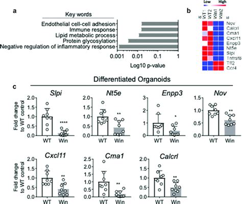 RNA Sequencing Reveals Lower Expression Of Negative Regulators Of Download Scientific Diagram