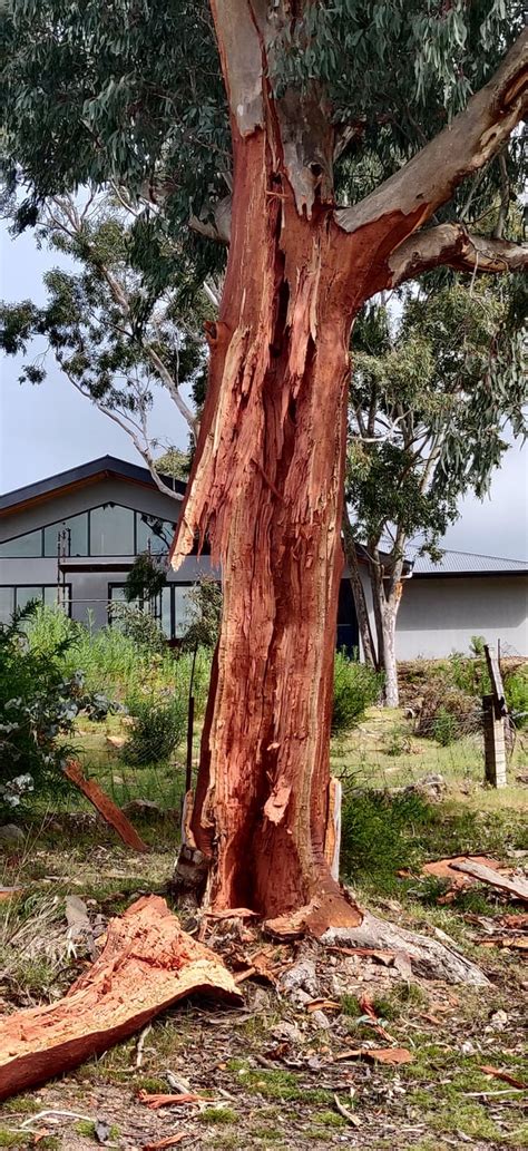 Mother Nature R Interestingasfuck