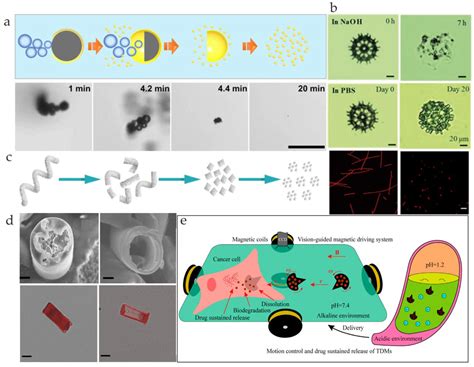Biodegradable Microrobots And Their Biomedical Applications A Review