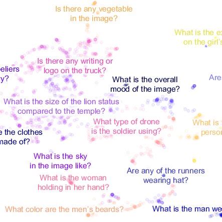 Visualization Of Question Embeddings And Question Examples Printed At