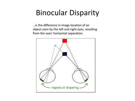 Binocular Disparity Aka Retinal Disparity At Rudolph Miller Blog