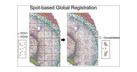 Spot Based Global Registration For Subpixel Stitching Of Single
