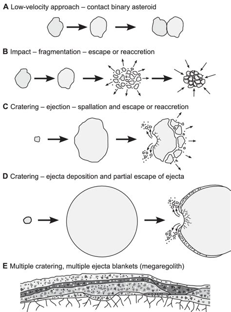 Effects Of Interplanetary Collisions For Variable Size Ratios Of