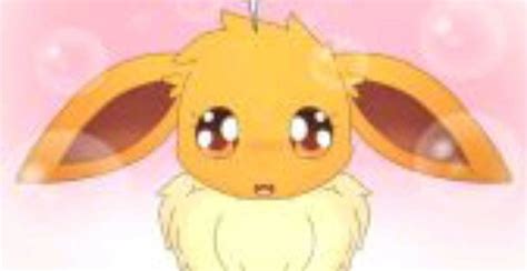 Sunshine Wiki Eevee Club Amino