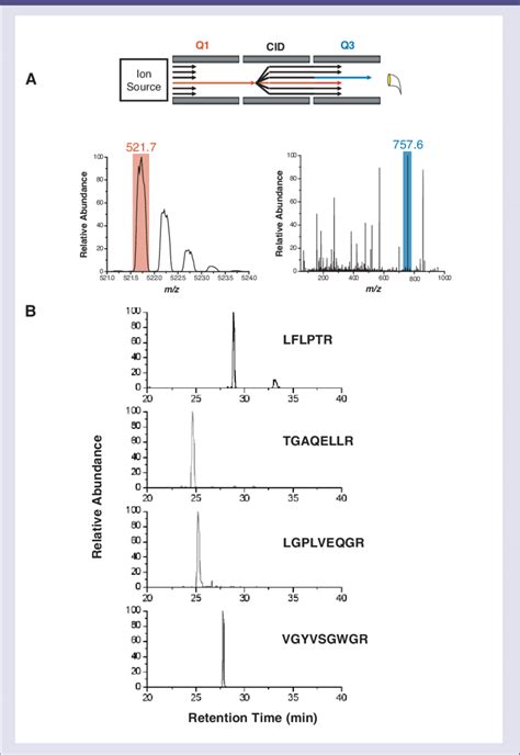 Illustration Of Selected Reaction Monitoring Srm On A Triple