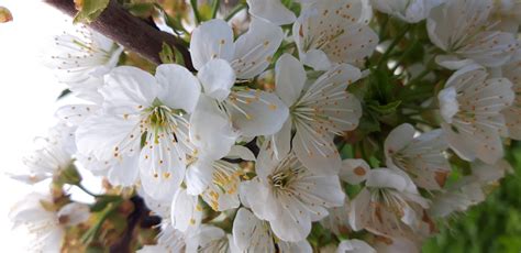 Ուսումնական պայմանագիր Նարե Հովհաննիսյանի բլոգ