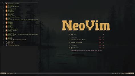 Transparency Is Not Fully Applied To Nvim Tree How Do I Solve It My Config Is In The