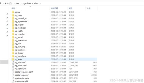 Postgresql——data Directory Files 数据库研究postgressql的datadir Csdn博客