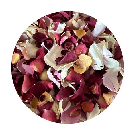 Freeze Dried Biodegradable Flower Petal Confetti Flower Preservation
