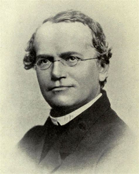 Gregor Mendel Biography Experiments And Facts Britannica