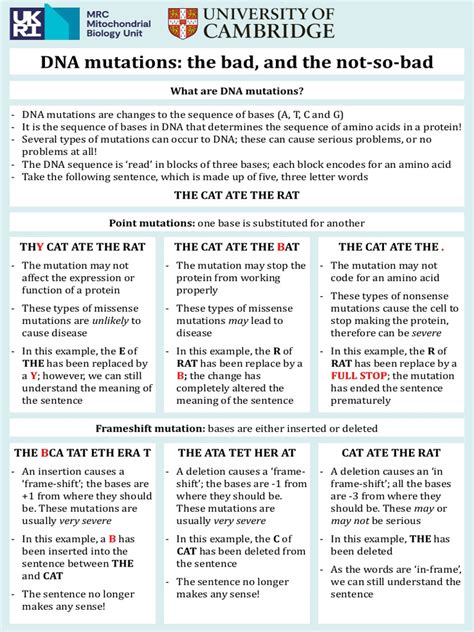 4 Dna Mutations Poster Pdf Mutation Biochemistry