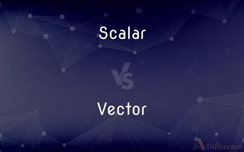 Scalar Vs Vector — Whats The Difference