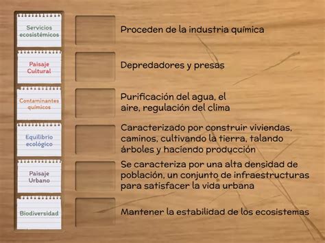 Componentes Ambientales Match Up
