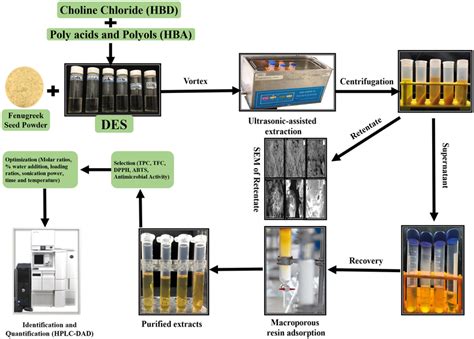 Illustrates The Schematic Diagram Of Des Extraction Of Fenugreek Download Scientific Diagram