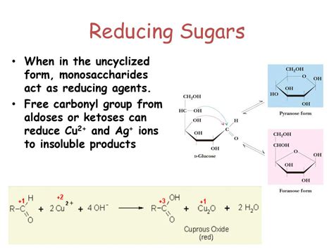 Introductory Biochemistry Bioc Ppt Download