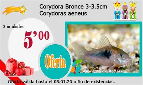 17 Cor14  Free Image Hosting Service