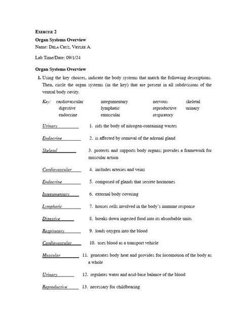 Exercise 2 Organ Systems Overview Pdf Human Body Endocrine System