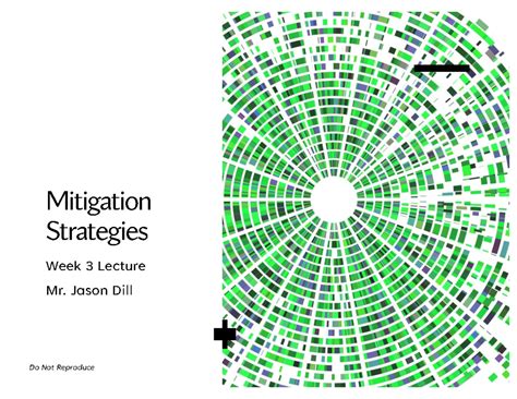 Mitigation Strategies Against Buffer Overflow Attacks Week 3 Lecture