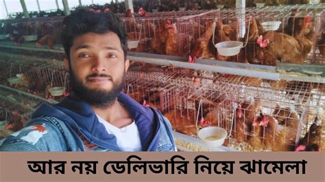 আর নয় ডেলিভারি নিয়ে ঝামেলা Fa Agro Farm লেয়ার মুরগি পুলেট লেয়ার মুরগি Youtube