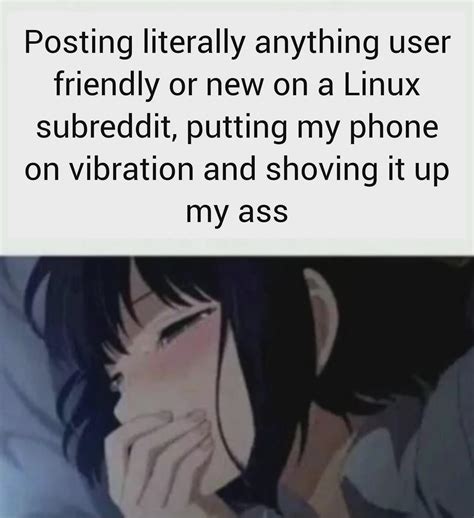 The Linux Subreddit Experience ·