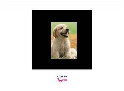 Region Of Interest In Computer Vision Scaler Topics