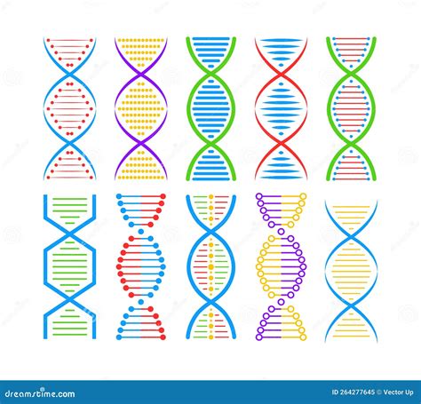 Dna Structure Icon Set Structure Molecule And Cell Chromosome
