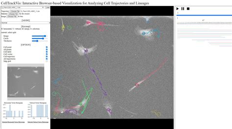 Example Cell Tracking Challenge Data Tutorial For CellTrackVis