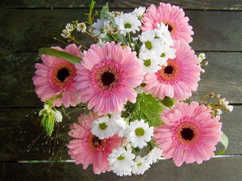 Free Photo Bunch Of Flowers Free Image On Pixabay 1055103