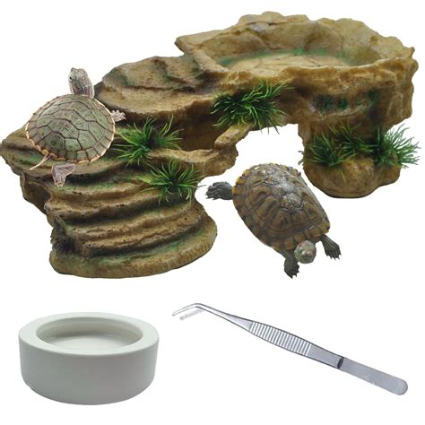 Tortoise Habitat Accessories