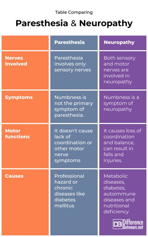 Difference Between Paresthesia And Neuropathy Difference Between Paresthesia Vs Neuropathy