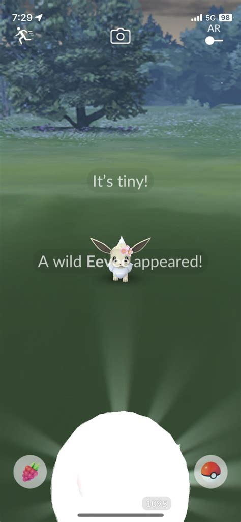 Tiny Shiny Freaking Flower Crown Eevee R Pokemongo