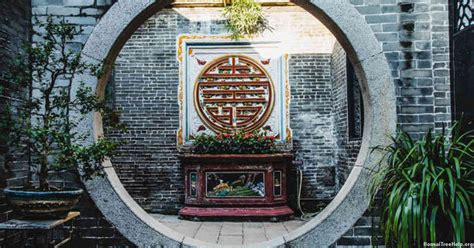 How Fast Do Bonsai Trees Grow Bonsai Tree Help