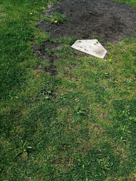 Premium Photo Close Up Of Grassland