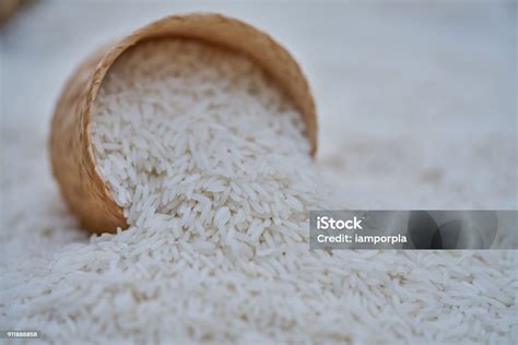 대나무 용기에 생 쌀된 화이트 재 스민 밥의 곡물의 클로즈업 재 스민 라이스는 태국에서 주로 재배 쌀 곡초류에 대한 스톡 사진 및 기타 이미지 Istock