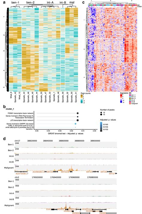 A Heatmap Of Normalized Count Data From 4566 H3k27ac Chip Seq Peaks
