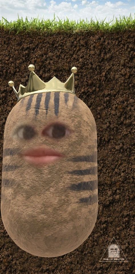 Potato Potatoes Filters Vegetables