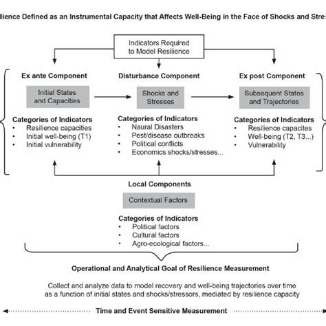 Resilience Measurement Integrated Framework Download Scientific Diagram